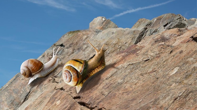 SIGNS & SYMBOLISM: Where to see signs and how to understand them ...